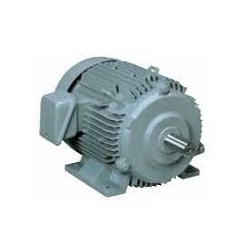 SF-JR 0.2KW 4P 400V | スーパーラインシリーズ 三相モートル 全閉外扇形 SF-JR | 三菱電機 | MISUMI-VONA【ミスミ】