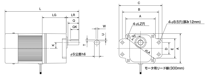 GM-J2 40W 4P 1/12.5 | ギヤードモータ GM-J2シリーズ | 三菱電機 | MISUMI-VONA【ミスミ】