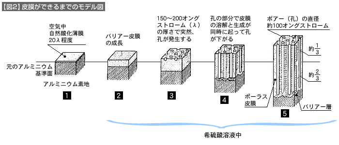 陽極酸化処理とは | 技術情報 | MISUMI-VONA【ミスミ】